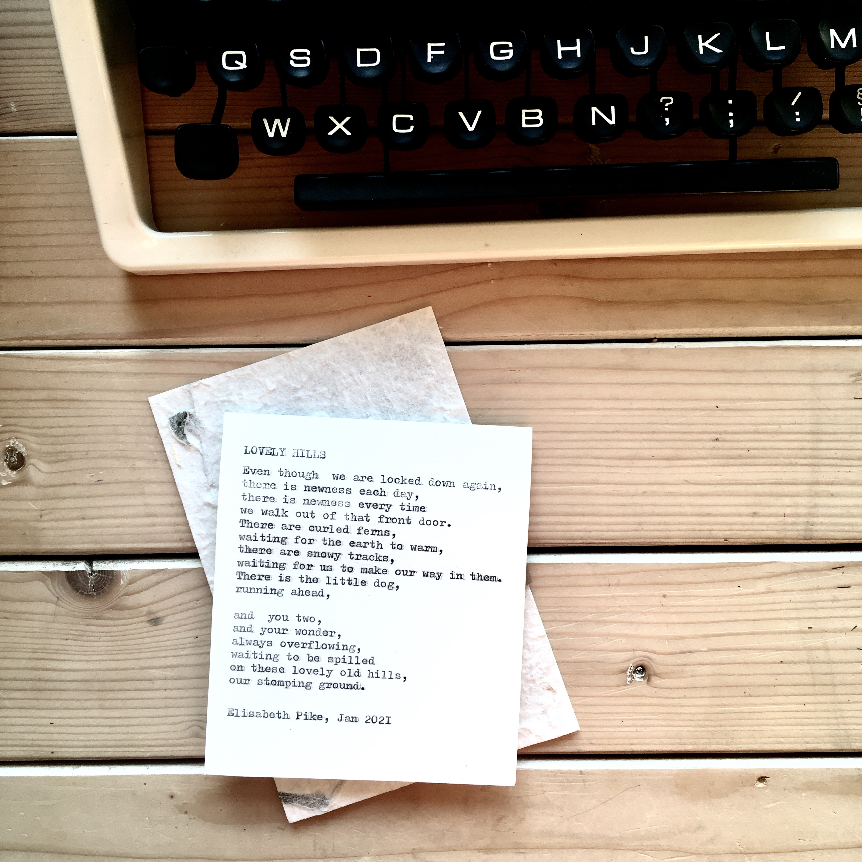 Little Bird Editions Shop – elisabeth pike