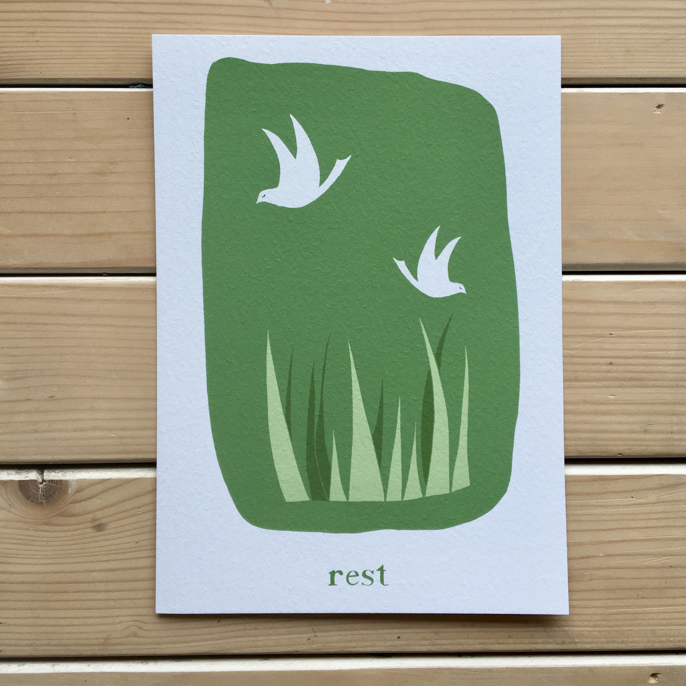 Little Bird Editions Shop – elisabeth pike