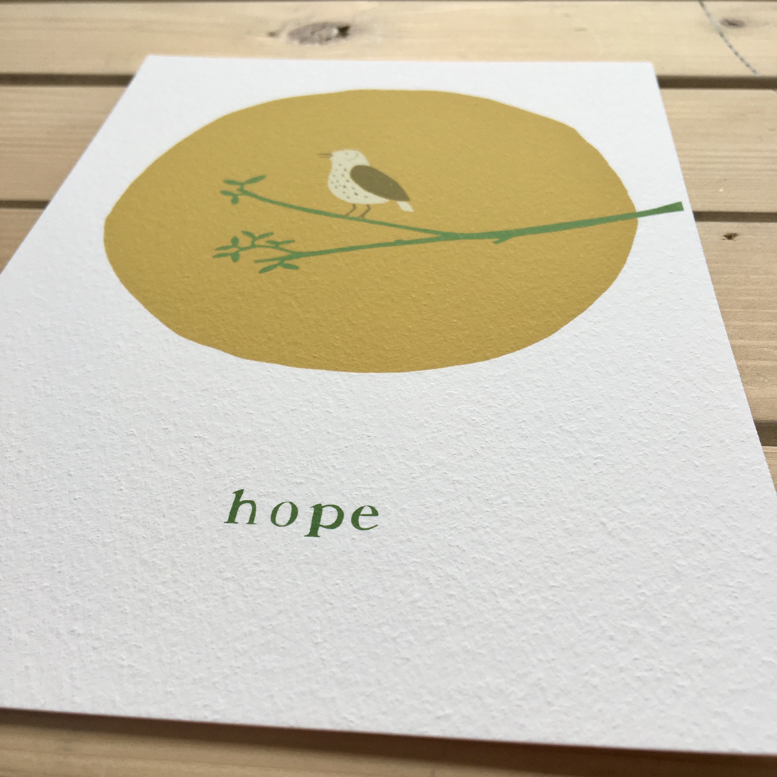 Little Bird Editions Shop – elisabeth pike