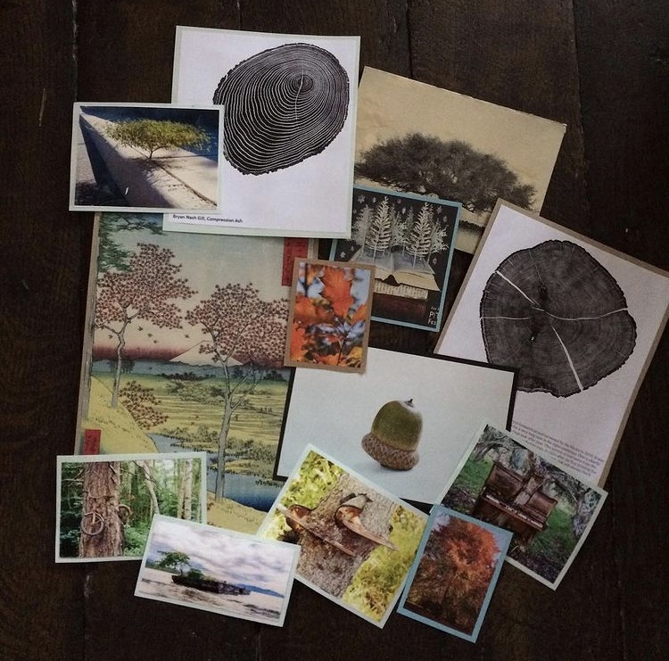 Workshops – elisabeth pike